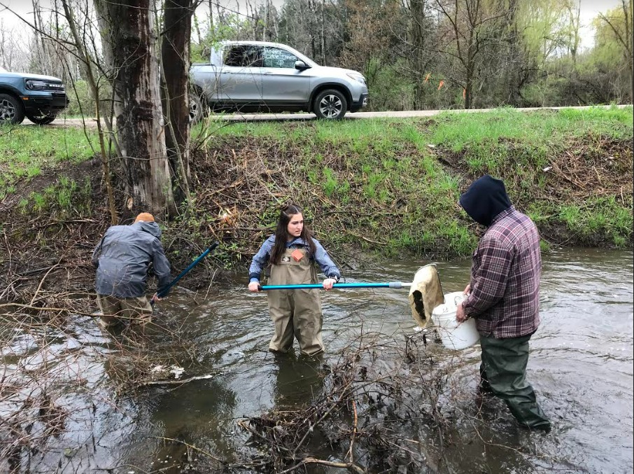 Community Scientist Identification Day - MI Water Stewardship