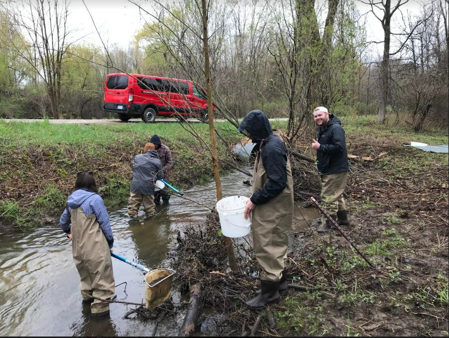 Community Scientist Identification Day - MI Water Stewardship