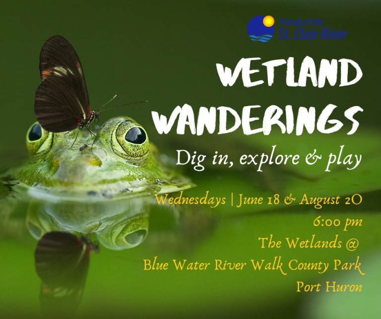 Wetland Wanderings - MI Water Stewardship