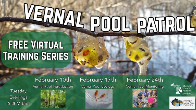 2026 Michigan Vernal Pool Patrol Training Series - MI Water Stewardship